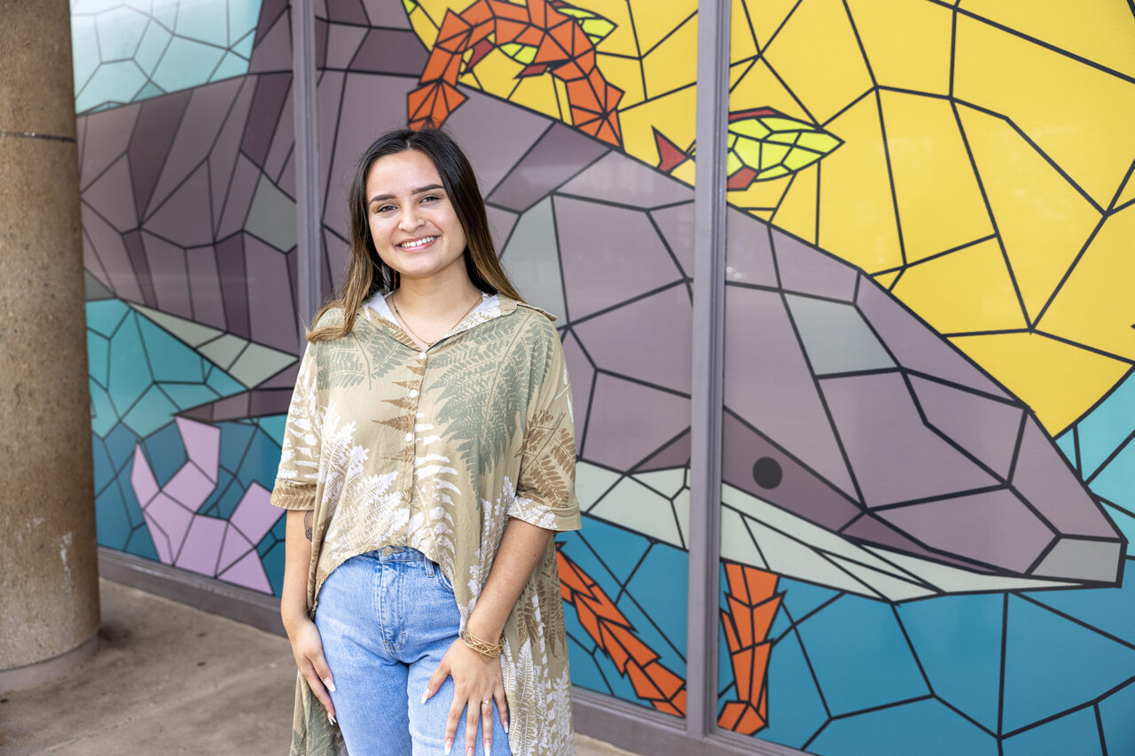 Fine Arts - Leeward Community College